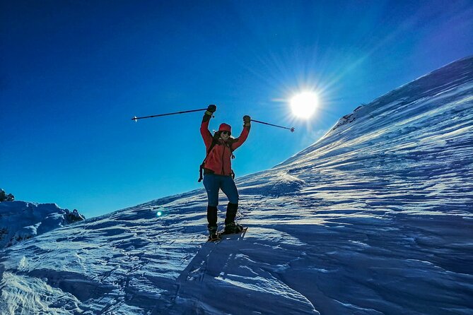 Guided Snowshoeing Day to Discover the Dolomites - What to Expect on Your Snowshoeing Adventure