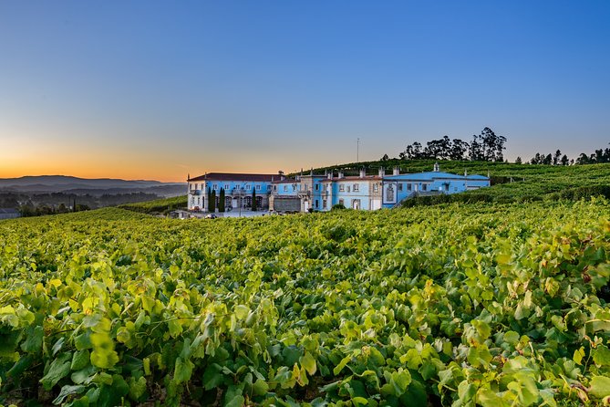 Guided Tour of Bodegas Granbazán - Location and Accessibility