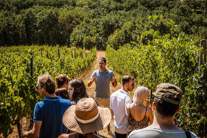 Guided Tour of the Cellars With Wine Tasting and Lunch - Tour Experience and Highlights