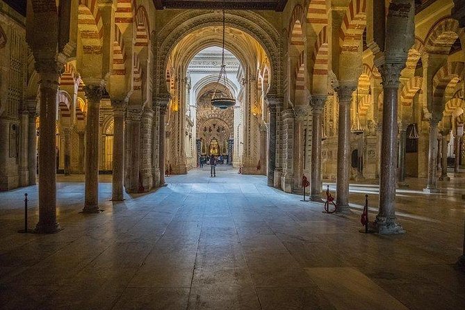 Guided Tour of the Mosque With Entrance Included - Meeting and Pickup