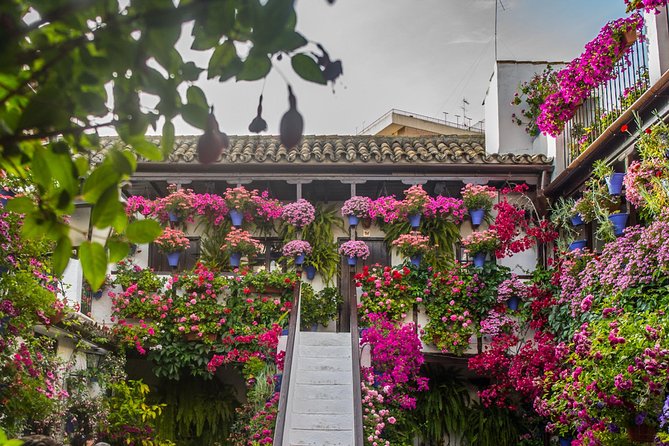 Guided Tour to the Popular Patios of Cordoba - Inclusions and Accessibility