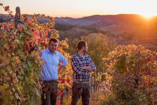 Guided Tour With Wine Tasting - Meeting and Pickup