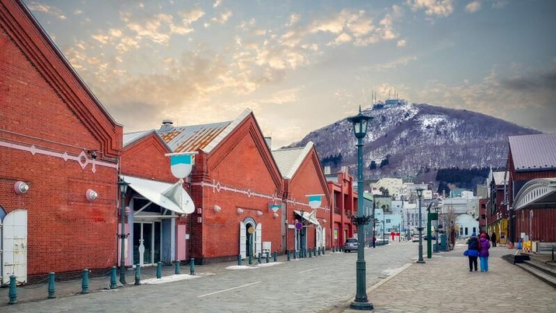 Hakodate: Whole-Day Heritage Trail Tour (In a Moomoo Taxi!) - Tour Highlights and Experience