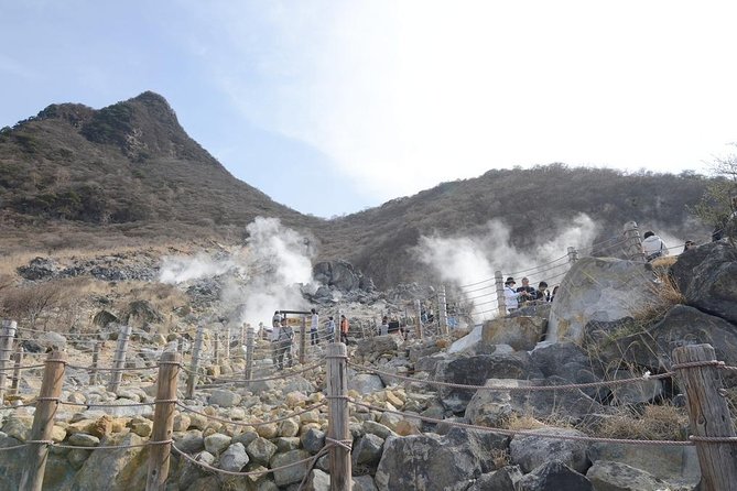 Hakone Full-Day Private Tour(Tokyo DEP.) With Government-Licensed Guide - Accessibility and Participation
