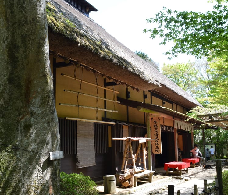 Hakone Geology & History Tour - Transportation and Activities