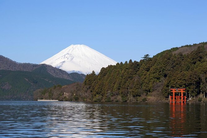 Hakone Private One Day Tour From Tokyo: Mt Fuji, Lake Ashi, Hakone National Park - Highlights of the Hakone Tour