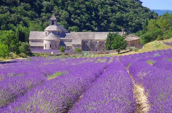 Half-Day Baux De Provence and Luberon Tour From Avignon - Perched Villages of Gordes and Roussillon
