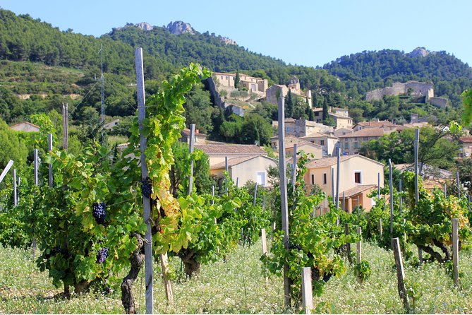 Half Day Great Vineyard Tour From Avignon - Guides and Experience