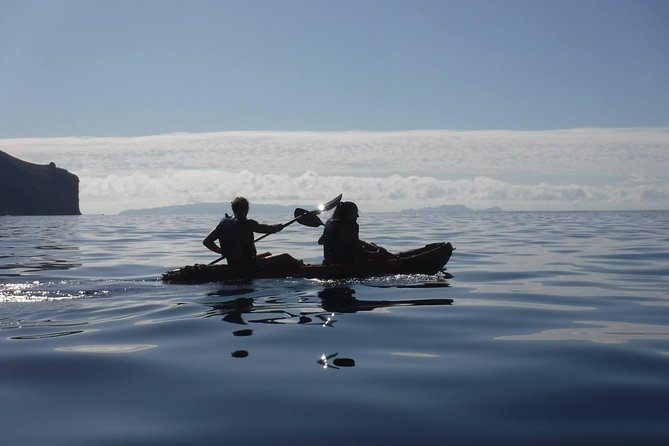 Half Day Kayak Tours - Tour Highlights