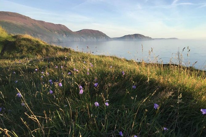Half Day Private Tours of the Isle of Man With a Qualified Driver Guide - Customizing Your Tour Itinerary