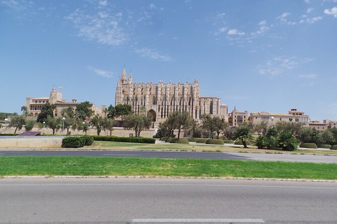 Half Day Trike Tour From Paguera - Requirements for Participation