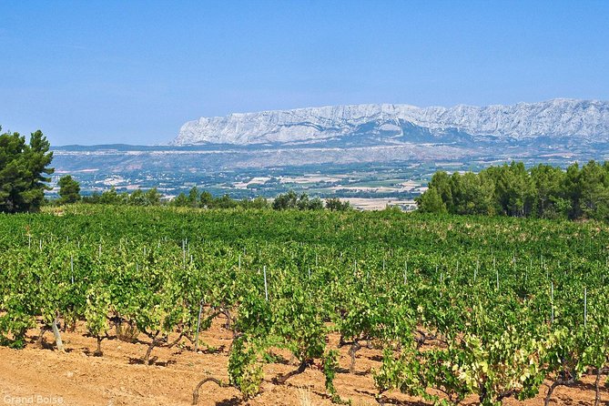 Half Day Wine Tour in Côtes De Provence Sainte-Victoire From Aix En Provence - Inclusions and Logistics