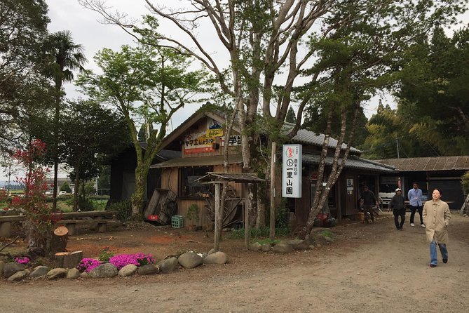 Harvest Experience (Rural Cuisine Using Seasonal Vegetables) - Schedule and Booking