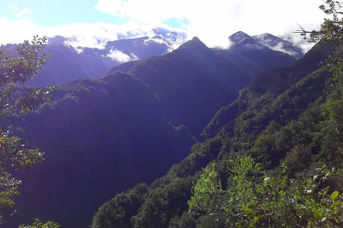 Hidden Corners: Levada Walk From Funchal - Exploring the Levada Trail