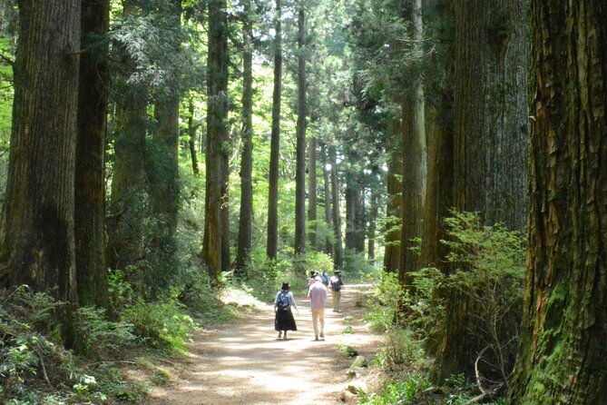 Hike Hakone Hachiri - Location and Accessibility