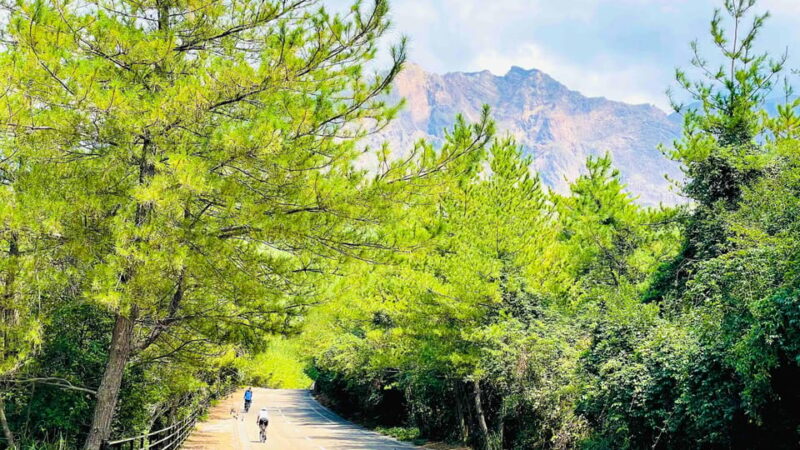 Historical Hill Climb E-bike Tour to Sakurajimas Peak - Inclusions in the Tour