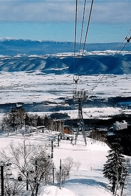 Hokkaido 10-Hour Chartered Day Trip｜Furano - Child Safety and Additional Fees