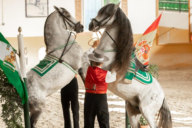 Horse and Flamenco Show in Malaga - Admission and Amenities