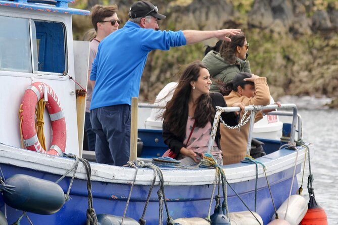 Howth Coastal Boat Tour (Irelands Eye Ferries 50 Mins Trip) - Meeting and Pickup