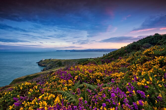 Howth Coastal Half-Day Bus Tour Review - Transportation and Accessibility
