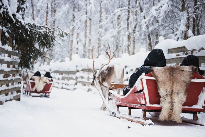 Husky and Reindeer Farm Visit With Snowmobiling - Meeting and Pickup Information