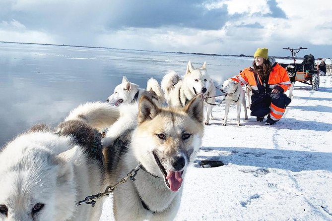Husky Sledding Small-Group Tour From Capital Region - Tour Experience and Logistics