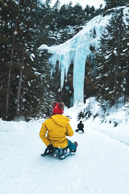 Interlaken: Guided Sledging Adventure - Highlights of the Experience