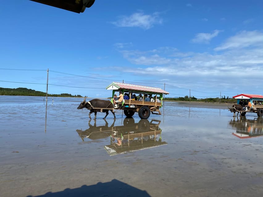 Iriomote: Coral Snorkeling and Yubujima Sightseeing Tour! - Frequently Asked Questions