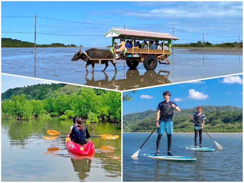 Iriomote: Mangrove Canoe and Yubujima Sightseeing Tour! - What to Expect