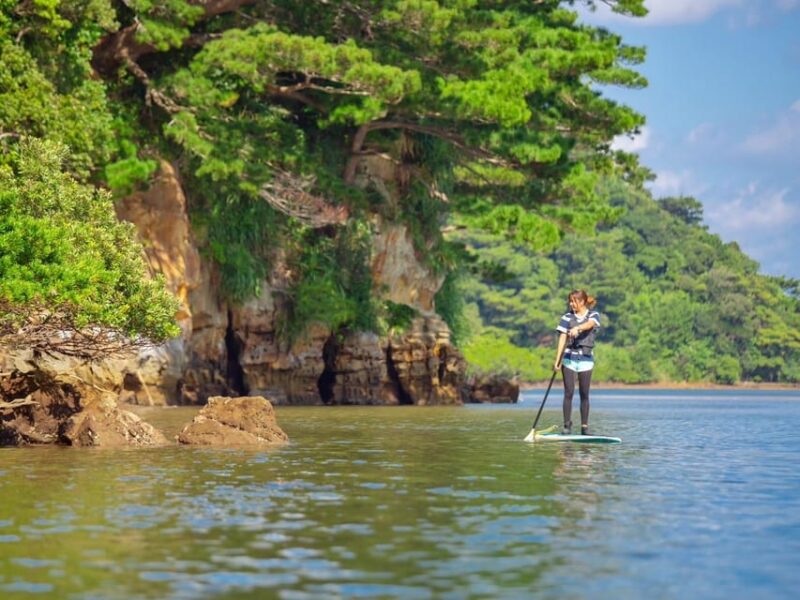 Iriomote Mangrove SUP and Snorkeling at Coral Island - Experience Highlights