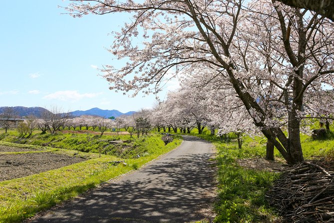 Japans Rural Life & Nature: Private Half Day Cycling Near Kyoto - Highlights of the Cycling Experience