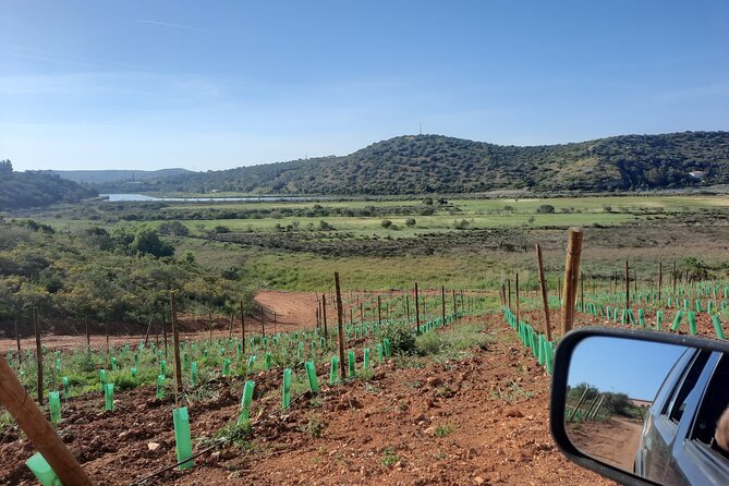 Jeep Half Day Tour of Our Algarve Coast and Mountains - Stunning Views and Natural Landmarks