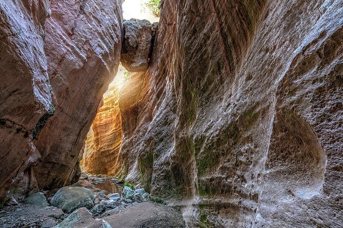 Jeep Safari to Akamas National Park: Avakas Gorge Tour From Paphos - Exploring Avakas Gorge