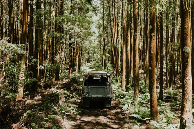 Jeep Safari Tour - Terceira Island FD - Meeting and Pickup