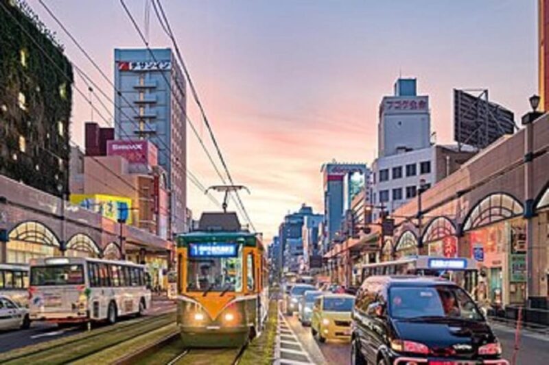 Kagoshima Half-Day Sightseeing Tour - Itinerary Highlights