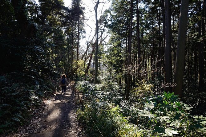 Kamakura One Day Hike Tour With Government-Licensed Guide - Accessibility and Participation