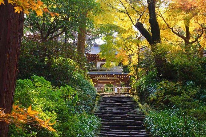 Kamakura Zen Temples and Gardens Private Trip With Government-Licensed Guide - Inclusions and Costs