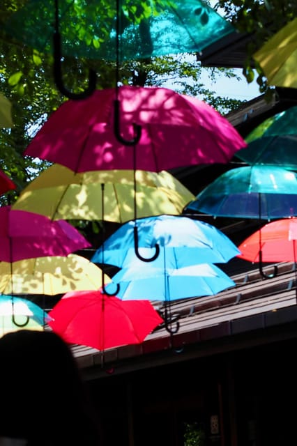 Kanto 10-Hour Chartered Day Trip｜Karuizawa - Itinerary and Highlights
