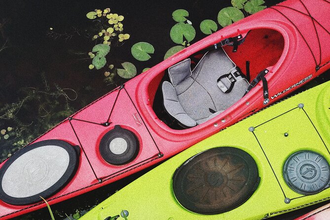 Kayak Discovery Tour in the Lagoon of Venice - Highlights of the Tour Experience