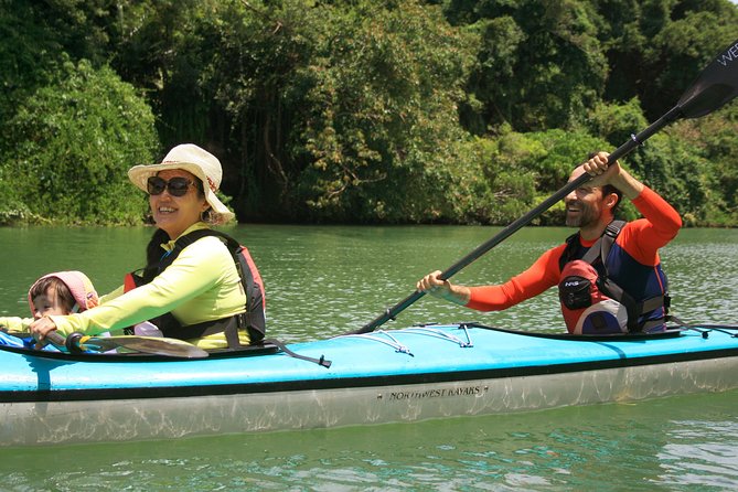 Kayak Mangroves or Coral Reef: Private Tour in North Okinawa - Tour Details
