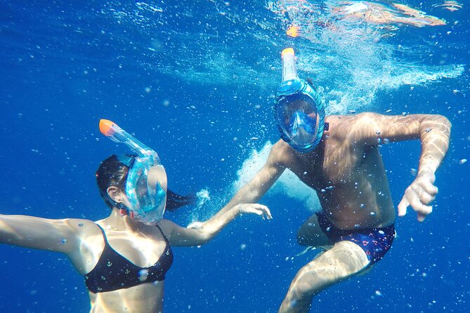 Kayak Route in Tenerife South: Review - Safety and Accessibility Considerations