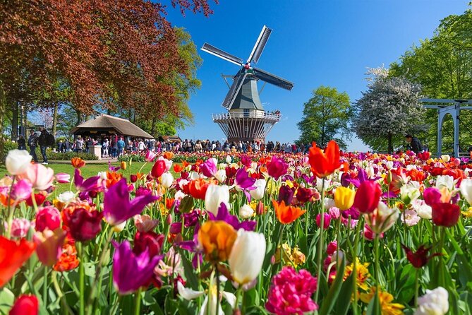 Keukenhof Gardens Tour With Windmill Cruise From Amsterdam - The Windmill Cruise Adventure
