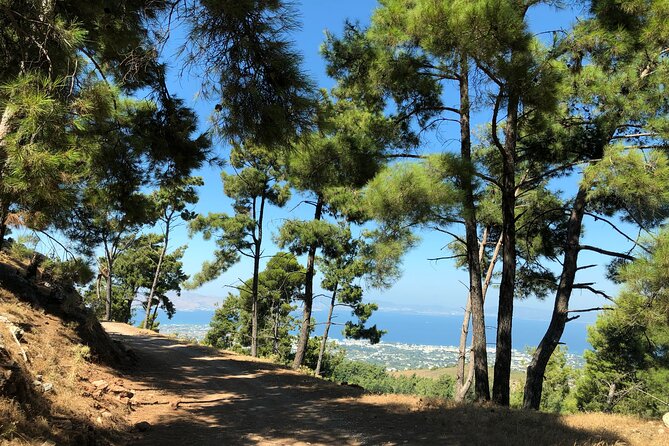 Kos 4x4 Exploration: Views, Villages & Flavors - Experiencing Traditional Greek Hospitality