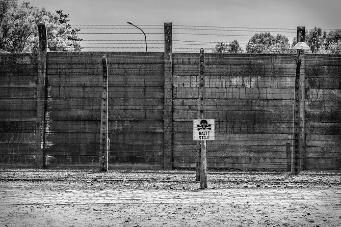 Krakow to Auschwitz-Birkenau Tour Review - Itinerary and Experience