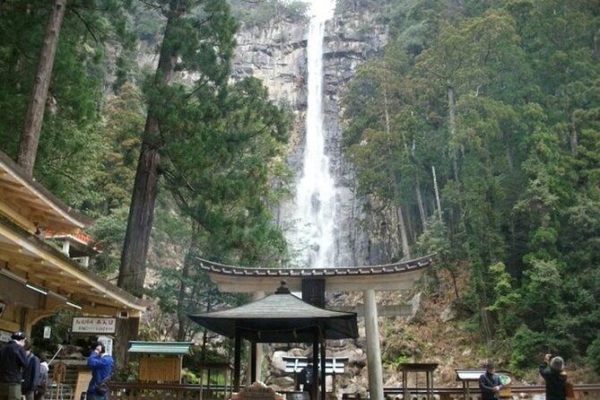 Kumano Kodo Half Day Daimonzaka and Nachi Taisha Tour - Exploring the Daimonzaka Staircase