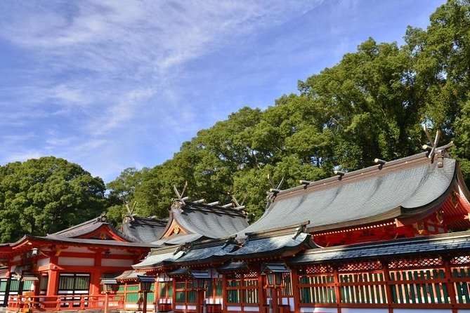 Kumano Kodo Pilgrimage Full-Day Private Trip With Government Licensed Guide - Customizable Itinerary