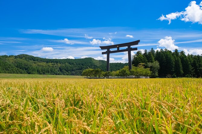 Kumano Kodo Pilgrimage Tour With Licensed Guide & Vehicle - Customizing Your Walking Tour Experience