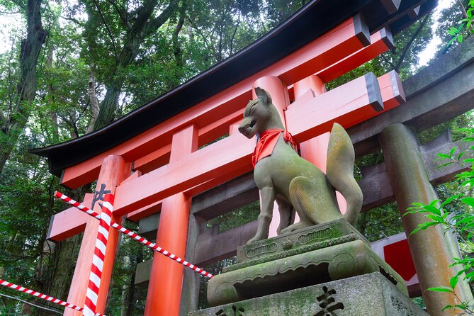 Kyoto 1 Day Golden Route Bus Tour - Health and Accessibility
