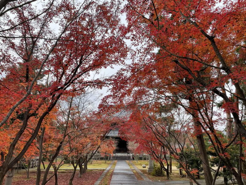 Kyoto: ALL Included Customized Sightseeing Tour With Local - Itinerary Details