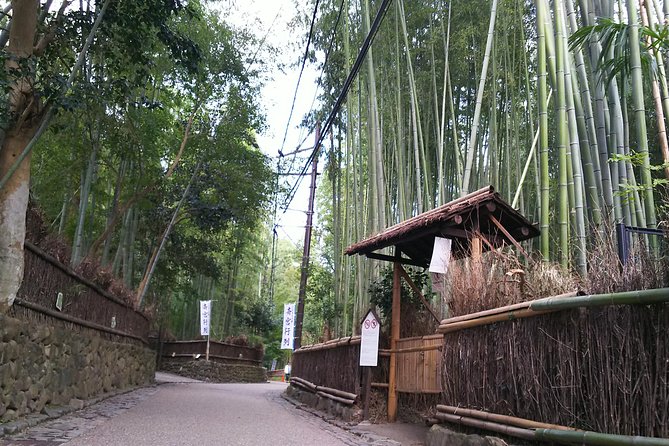 Kyoto and Nara Fully Satisfying Two-Day Walking Tour - Meeting and Pickup Details